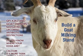 Issues Archive - Goat Journal